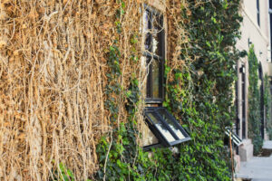 Commercial Structures - EVstudio