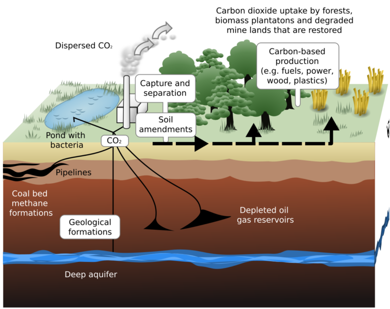 Carbon Sequestration in Building Design and Construction - EVstudio