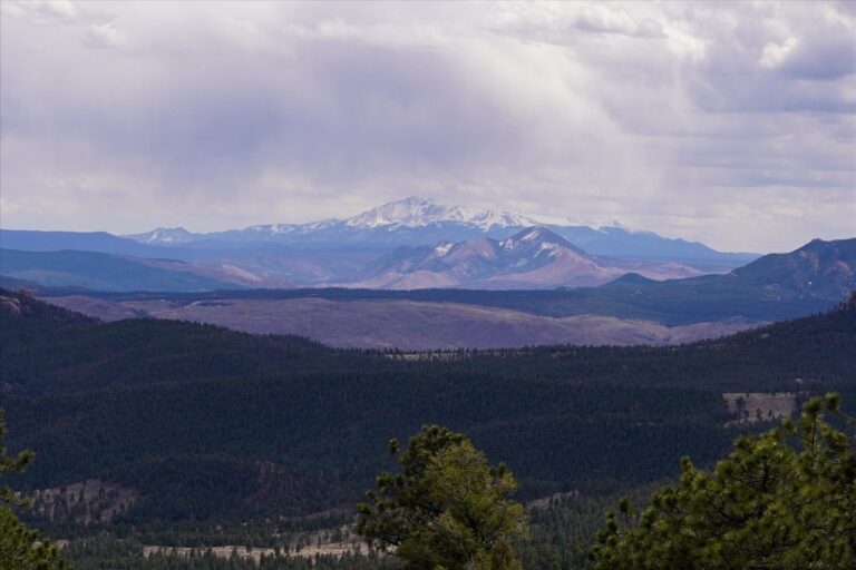 Gray Buck Trail, Conifer Spec House - EVstudio