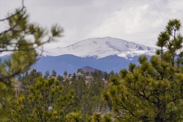 Gray Buck Trail, Conifer Spec House - EVstudio